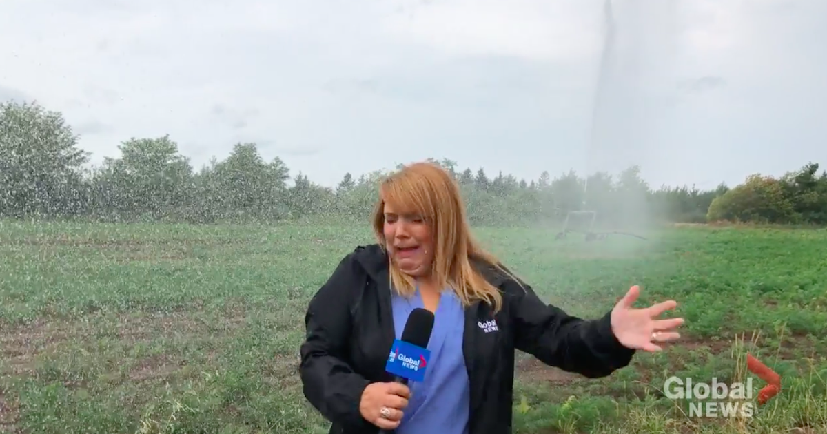 Hilarious video shows reporter getting surprised by a sprinkler ...